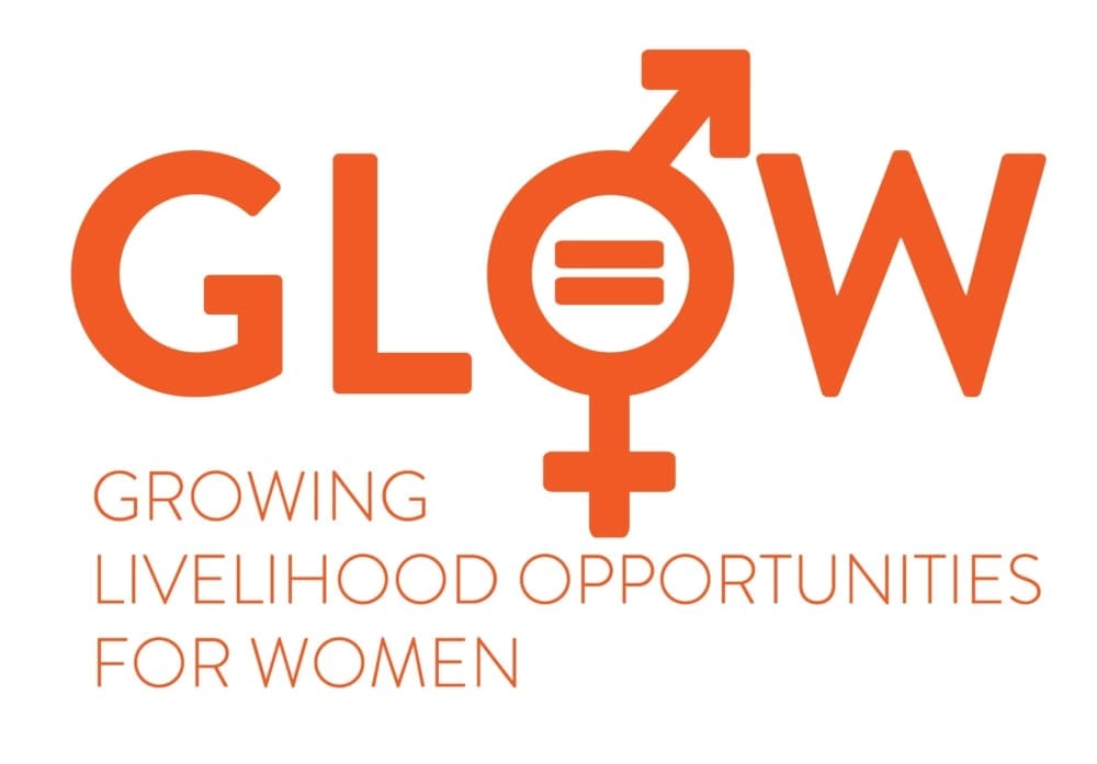 Roadmap to Gender Equity for Warehouse Operations - FSG