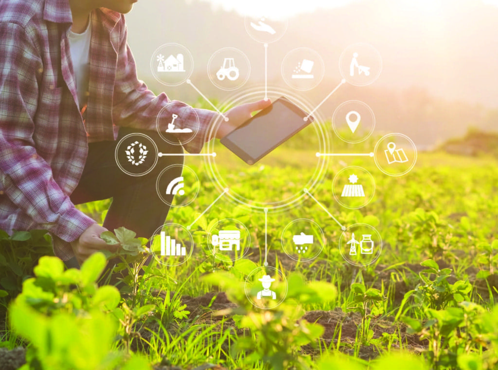India's Unfolding Agri-Tech Story - FSG